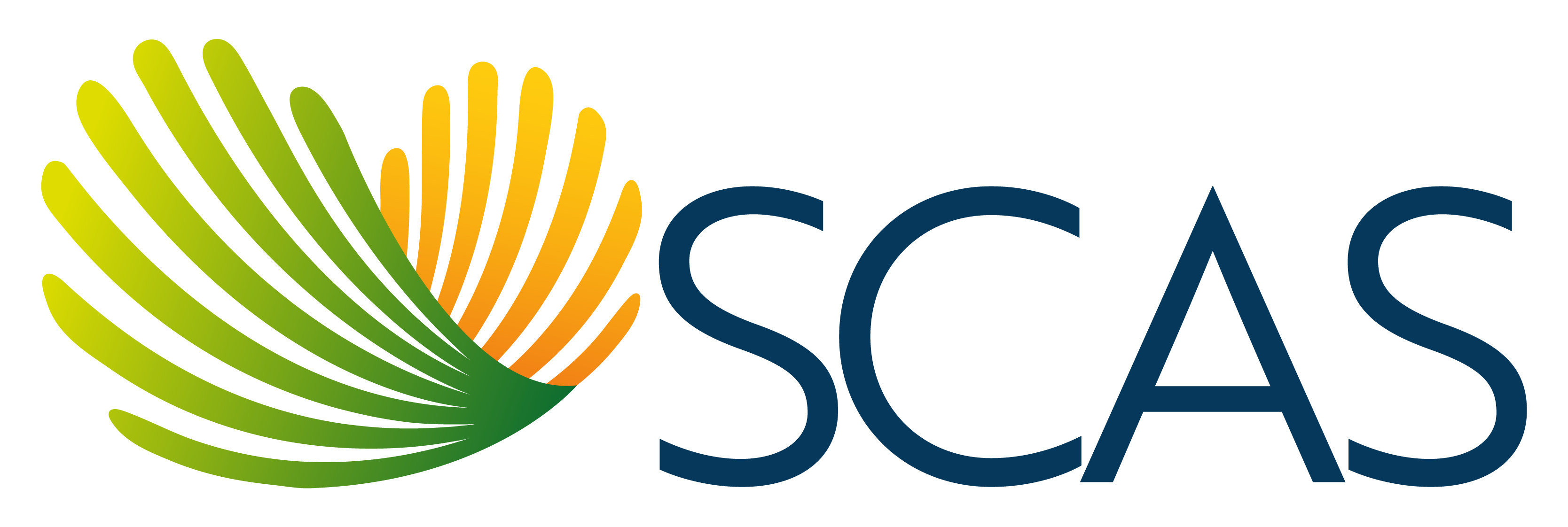 SCAS - BEST CONSULTANTS IN ZANZIBAR